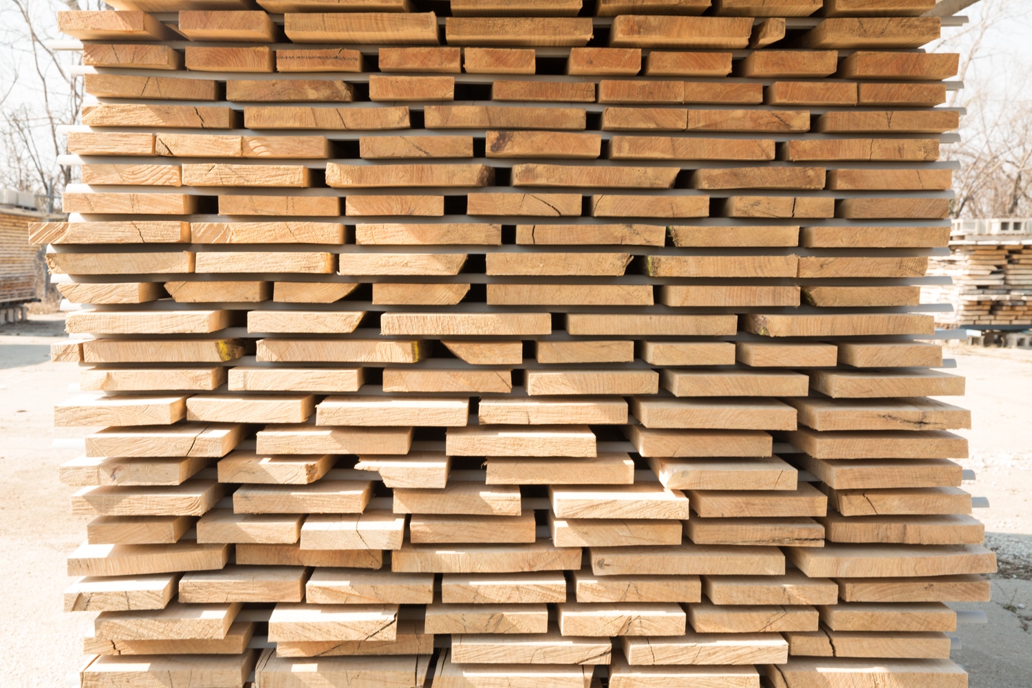 Learn more about our products - TimberKing