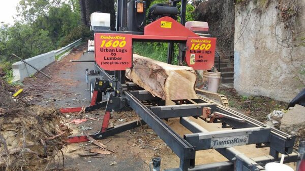 TIMBERKING’S THE BEST BANG FOR THE BUCK - so he bought two - TimberKing