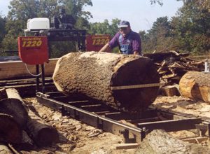 TimberKing Owners Speak - TimberKing
