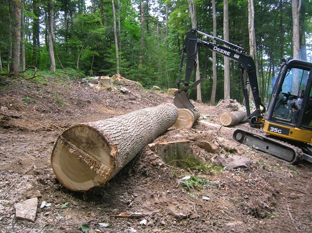 TimberKing 2000 Diesel - The right mill for this millwright - TimberKing